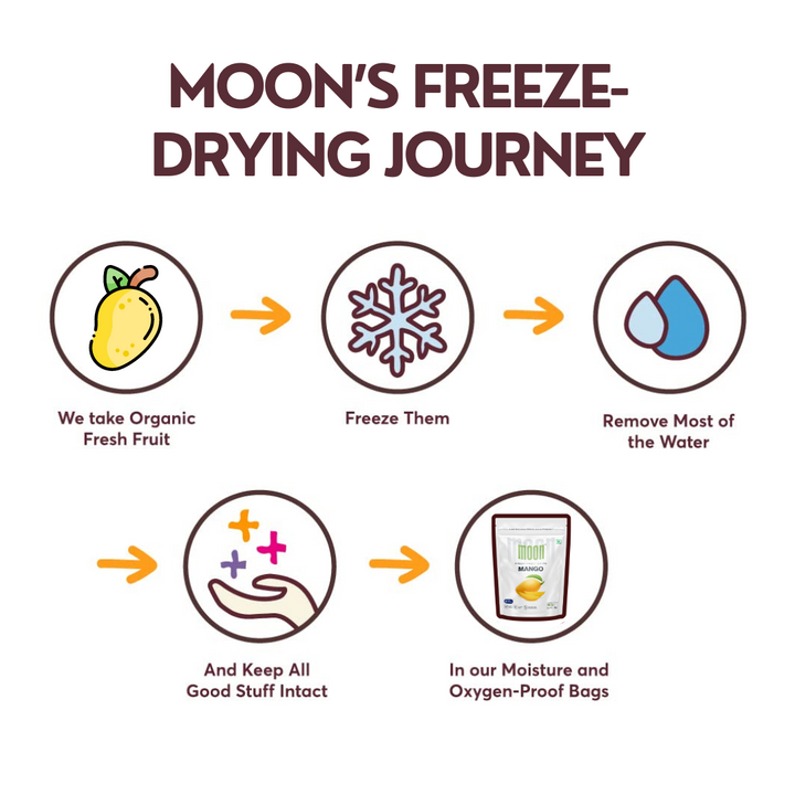 Buy 100% Natural Freeze Dried Fruits in India – MOONFREEZE FOODS ...